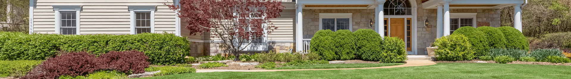 Landscape Maintenance - Pro Outdoor